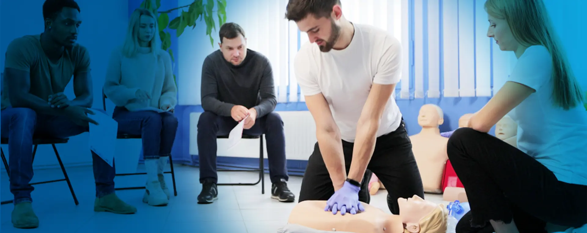 Immaculate Training Services in Dubai United Arab Emirates